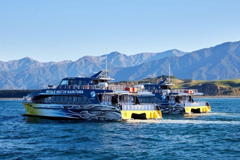 Kaikoura: Whale Watching Cruise - The Experience: What You’ll Actually Do