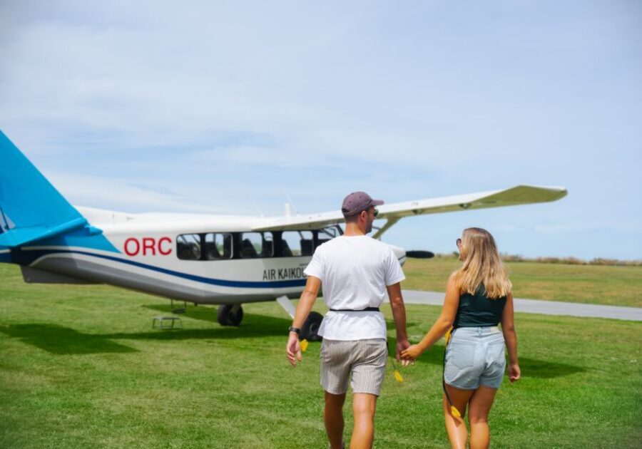 Kaikoura: Whale Watching Flight with Commentary - Experience Breakdown: What to Expect