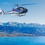 Kaikoura Whales - Why This Tour Delivers Value