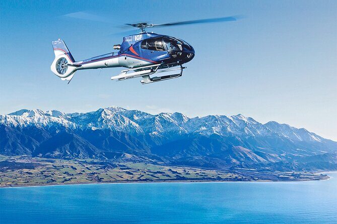 Kaikoura Whales - Why This Tour Delivers Value