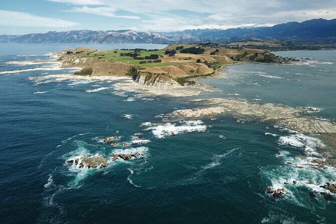 Kaikura Day Tour With Kayak Experience From Christchurch - Who Will Love This Tour?