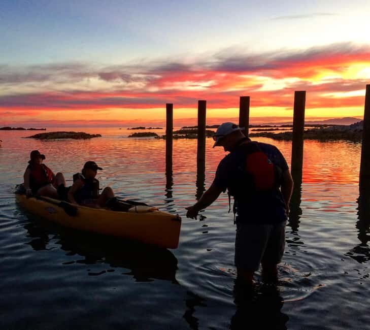 Kaikura: Kayak Sunset Tour with Seal Sightings - FAQs