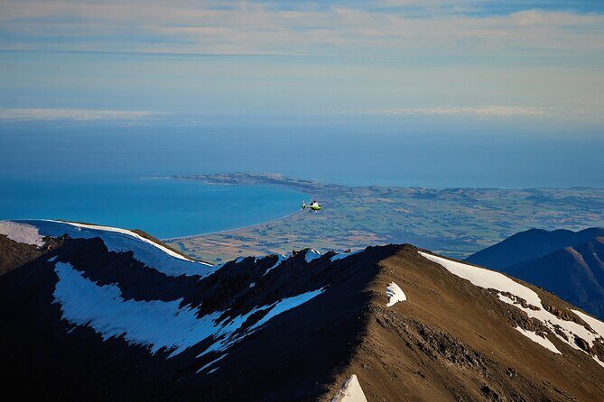 Kaikura Whale Watching and Scenic Landing - 1hr Premier Tour - Wildlife Sightings from Above