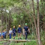 Kaikura: Zipline and Native Forest Adventure Trip - The Ziplining Experience
