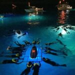 Kailua Kona: Night Manta Ray Adventure on the Big Island - Frequently Asked Questions (FAQs)