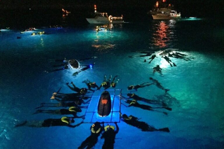 Kailua Kona: Night Manta Ray Adventure on the Big Island - Frequently Asked Questions (FAQs)