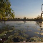 Kakadu, Arnhem Land, Katherine & Litchfield Adventure - Guides and Personal Touches: What Sets This Tour Apart?