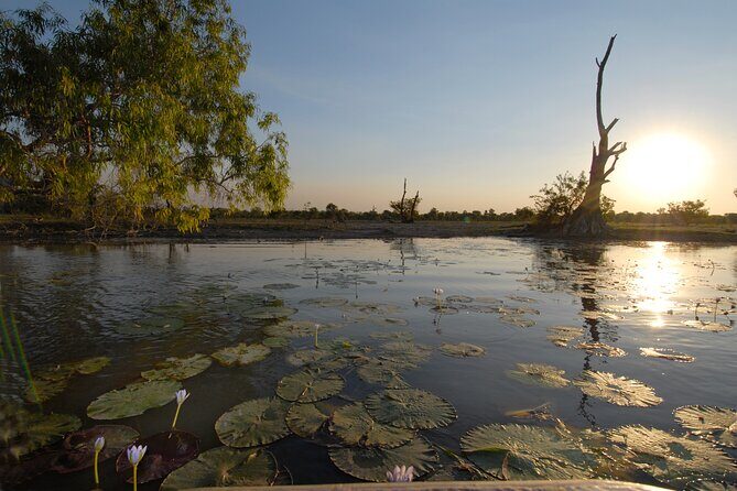 Kakadu, Arnhem Land, Katherine & Litchfield Adventure - Guides and Personal Touches: What Sets This Tour Apart?