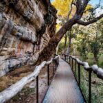 Kakadu National Park Cultural Experience - Who Will Love This Tour?