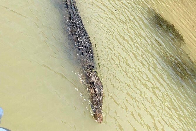Kakadu National Park Scenic Flight &Yellow Water Cruise - The Scenic Flight: Flying Over Iconic Landmarks