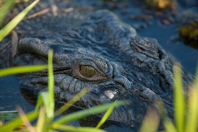 Kakadu National Park Yellow Water Sunset Cruise -Sacred Owl Tours - Transportation, Timing, and Group Size