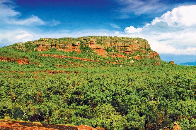 Kakadu, Nourlangie and Yellow Waters Tour from Darwin - Analyzing the Experience: What Travelers Love