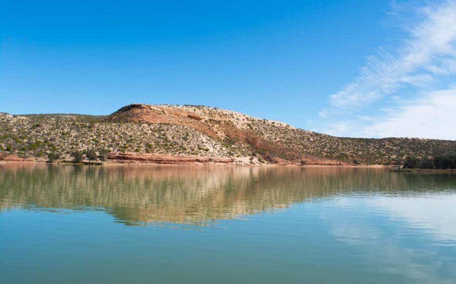 Kalbarri: Murchison River Wilderness Wildlife Cruise - The Experience: What You’ll See and Hear