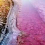 Kalbarri: Pink Lake and Coastal Cliffs Tour - The Practical Side: What’s Included & What to Bring
