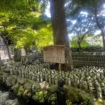 Kamakura and Enoshima: Private Guided Day Tour with Vehicle - Final Thoughts