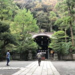 Kamakura : Full Day with local guide. - How the Tour Comes Together: The Practical Details