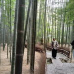 Kamakura Hidden Gems and Sacred Sites Private Tour - Practical Aspects: What You Need to Know