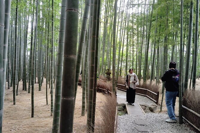 Kamakura Hidden Gems and Sacred Sites Private Tour - Practical Aspects: What You Need to Know