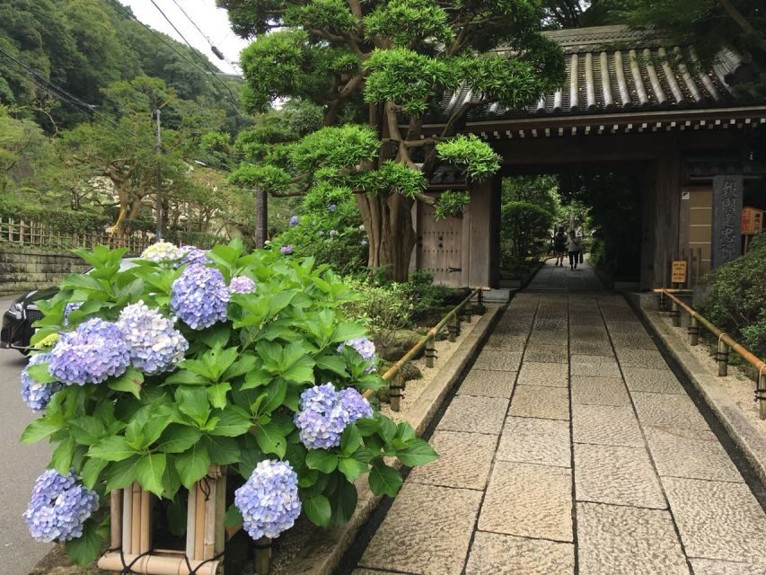 Kamakura: Private History and Heritage Tour by Rickshaw - Authentic Experiences, Authentic Insights
