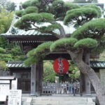 Kamakura sightseeing one day charter car service - The Sum Up