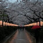 Kamakura & Yokohama One-Day Tour with English Driver - Exploring Kamakura: The Heart of the Tour