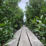 Kampot Countryside Tour - Pepper Farm, Salt Lake, Caves, and more - Final Thoughts