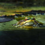 Kampot: Salt Fields, Pepper Farm, and Secret Lake Tour - Who Should Consider This Tour?