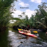 Kampot's Countryside & Kayak Tour, Pepper Farm include Lunch - Visiting Caves and the Hindu Temple