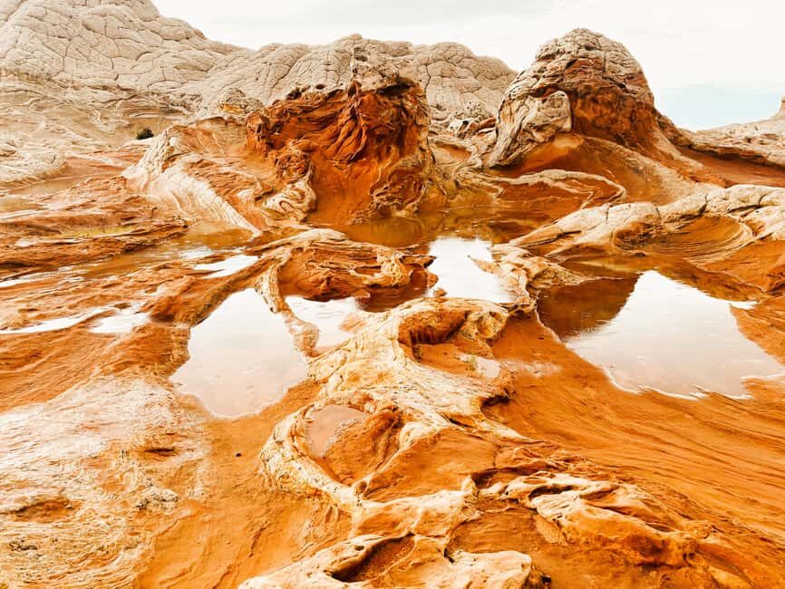 Kanab: White Pocket Rock Formation Small Group Tour - Who Will Love This Tour?