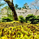 Kanazawa: Full-Day Private Tour to Top Highlights - Final Thoughts: Who Will Love This Tour?