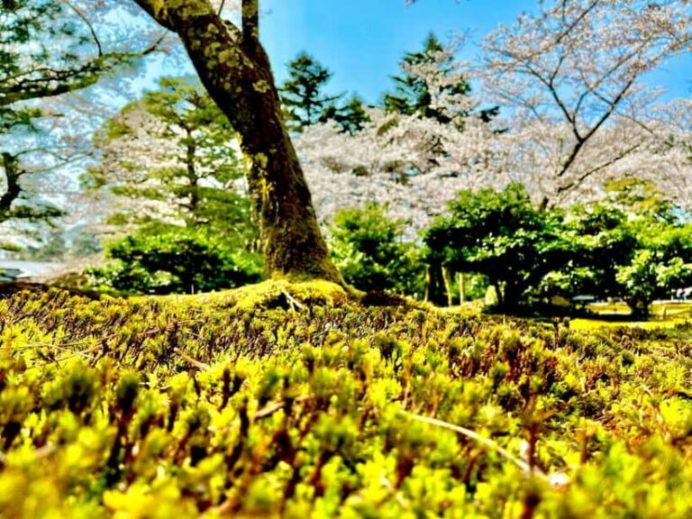 Kanazawa: Full-Day Private Tour to Top Highlights - Final Thoughts: Who Will Love This Tour?