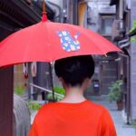 Kanazawa Half Day Tour (Private Guide) - Practical Aspects: What to Expect and Consider