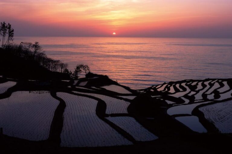 Kanazawa: Noto Peninsula Private Day-Tour - The Practicalities and Value