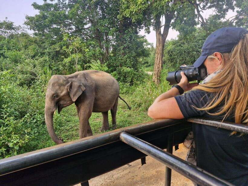 Kandy: 4-Day Sri Lanka Full Circle Private Tour To Colombo - Why This Tour Offers Great Value