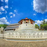 Kandy and Pinnawala: A Perfect 1-Day Tour Experience - Detailed Breakdown of the Itinerary