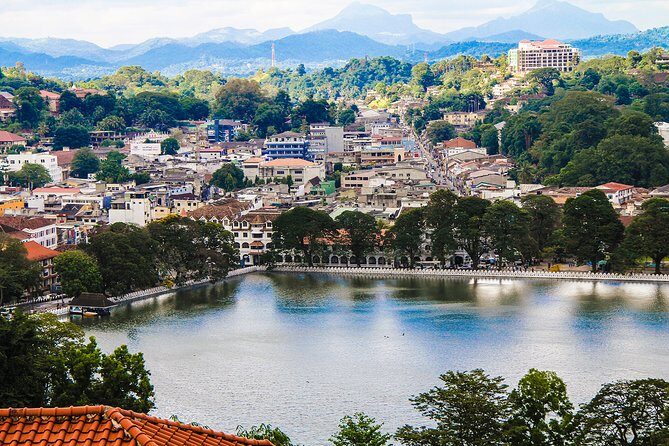 Kandy City Day Tour - Analyzing the Value and Practical Details