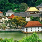 Kandy City Tour - What Makes This Tour Stand Out