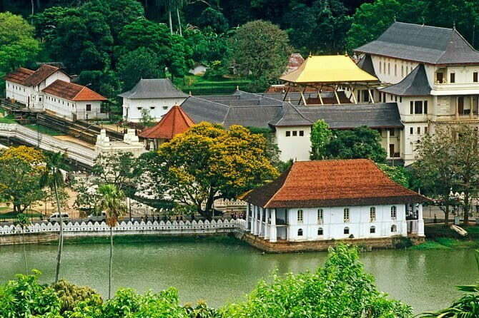 Kandy City Tour - What Makes This Tour Stand Out