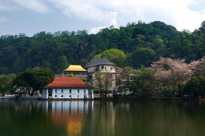 Kandy City Tour From Colombo - The Authentic Experience