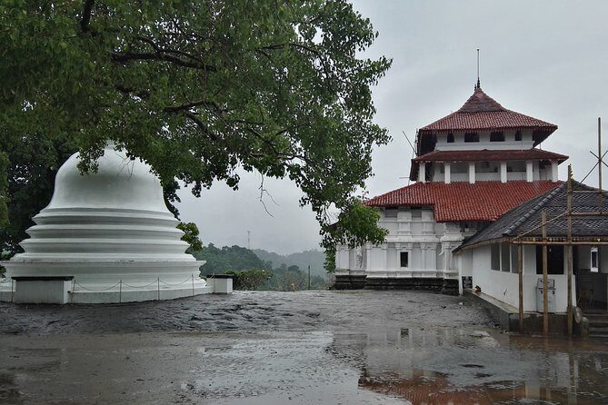 Kandy City Tour From Colombo - Who Should Consider This Tour?