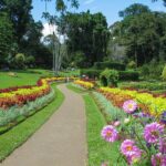 Kandy City Tour from Dambulla - Final Thoughts