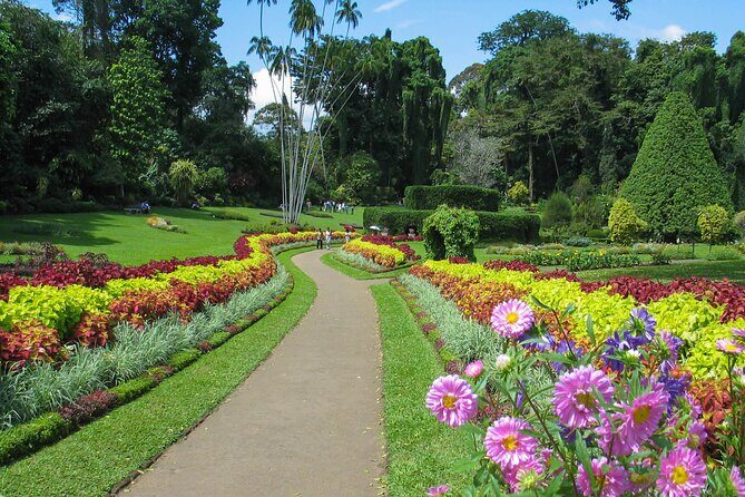 Kandy City Tour from Dambulla - Final Thoughts