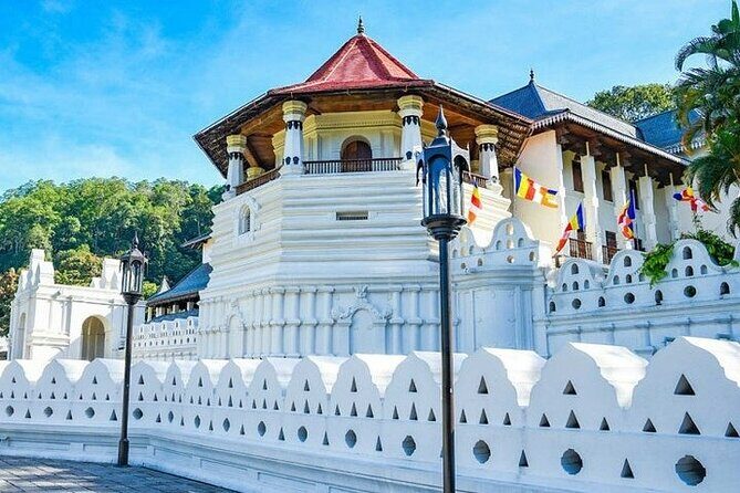 Kandy Day trip from Kalutara Beruwala Bentota Aluthgama Wadduwa - The Practical Side: What to Expect