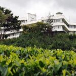 Kandy Nature & Culture Tour - Deep Dive into the Itinerary