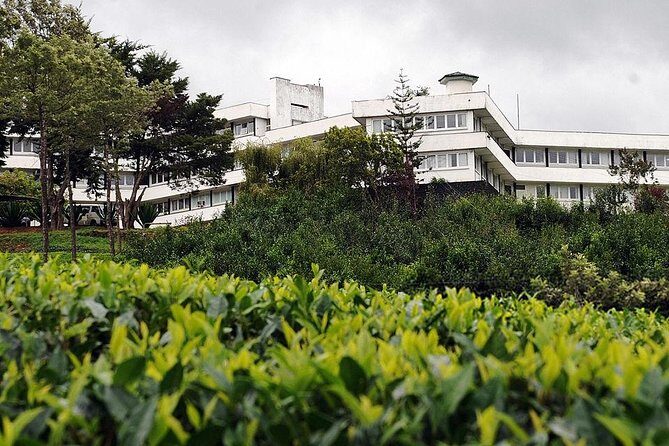 Kandy Nature & Culture Tour - Deep Dive into the Itinerary