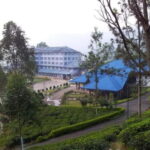 Kandy: Nuwara Eliya Day Explore by Tuk tuk with Local Guide - What We Love About This Tour