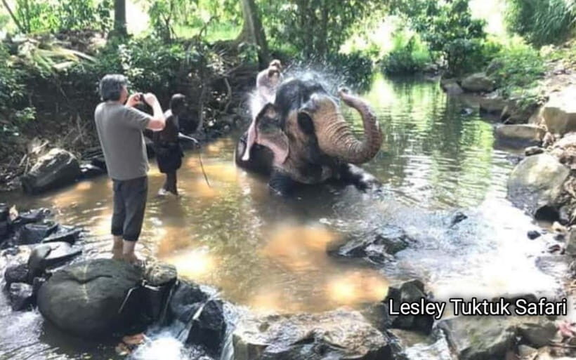 Kandy : Pinnawala Elephant Safari Tour with Kandy City Tour - An In-Depth Look at the Itinerary