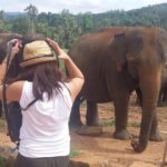 kandy private day tour - What Visitors Say