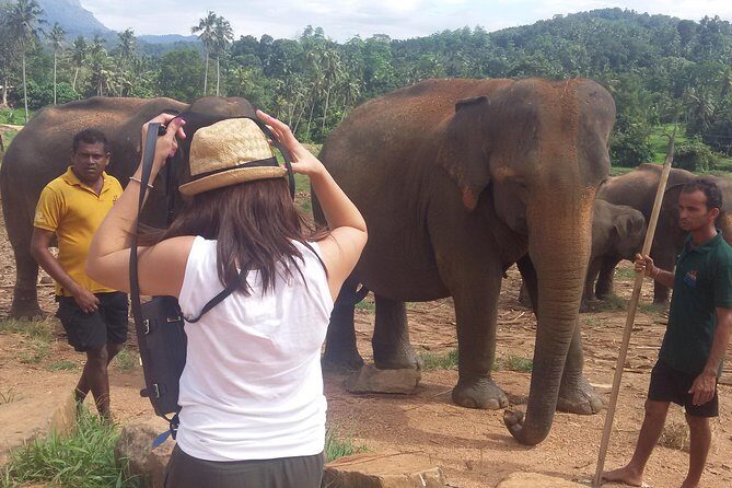 kandy private day tour - What Visitors Say