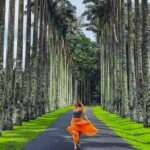 Kandy Private Transport with Sightseeing from Colombo - Experience Provider and Booking Details